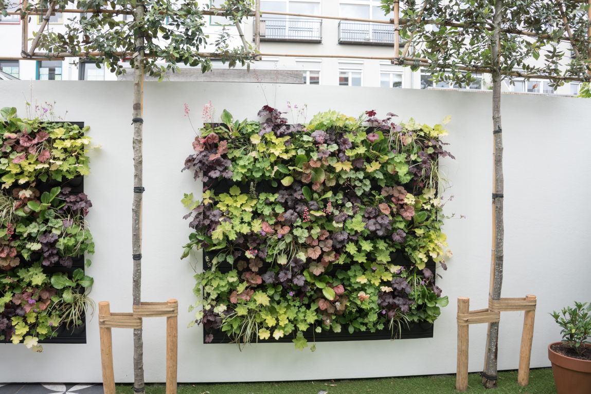 Een verticale tuin is een maximale beleving van groen - 020Groen - NL